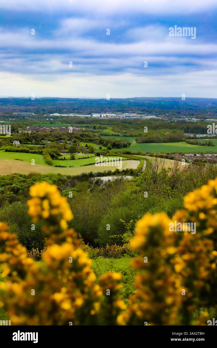 View over Maidstone and North Downs in Kent, England UK Stock Photo - Alamy
