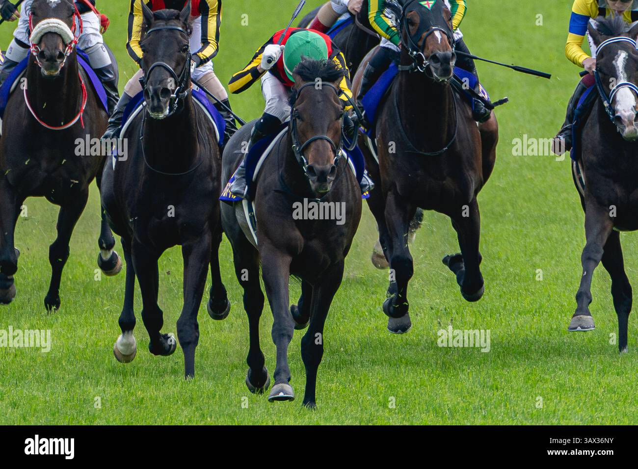April 20, 2025, Funabashi, Chiba, USA: Museum Mile (11) ridden by Joao ...