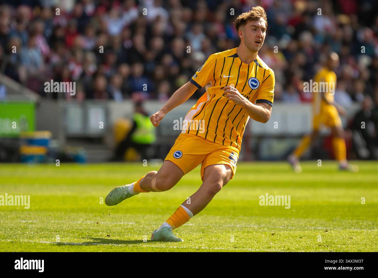 Jack Hinshelwood of Brighton & Hove Albion during the Premier League ...
