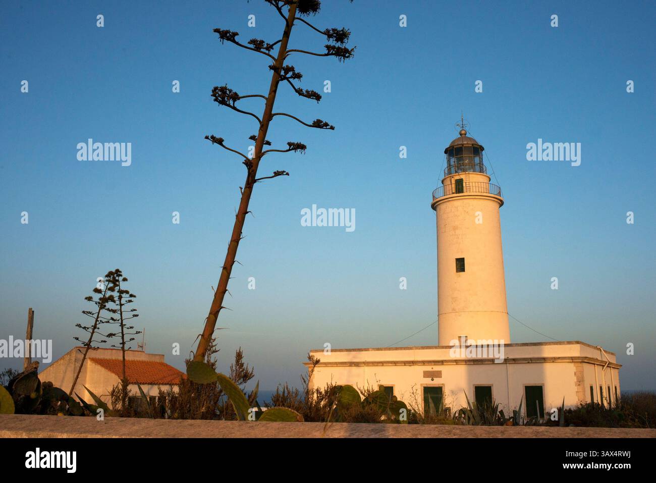3 horizontales hi-res stock photography and images - Alamy