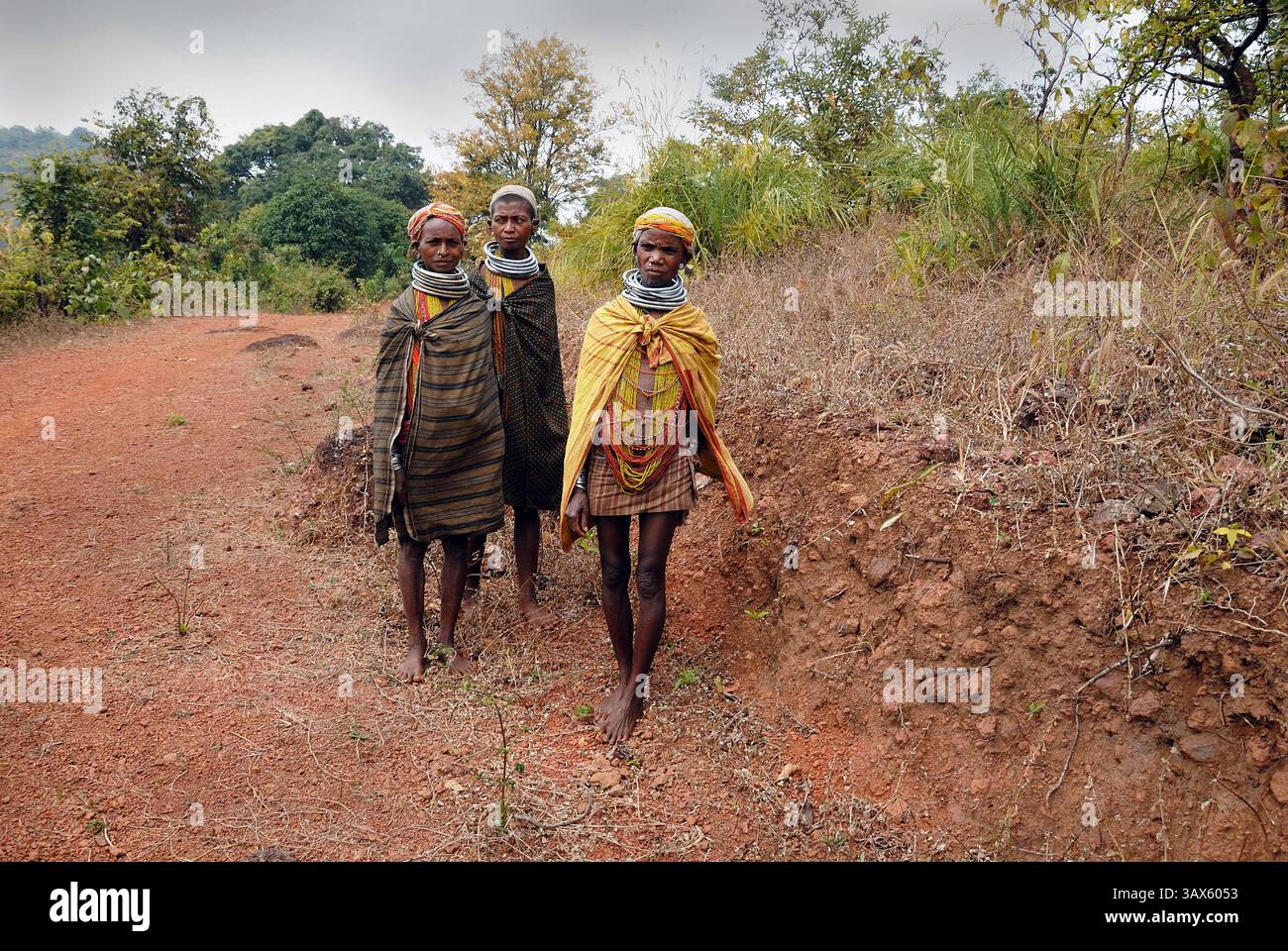 Feb 14, 2010 - Jaypore, Orissa, India - Many of the Orissa tribes are ...