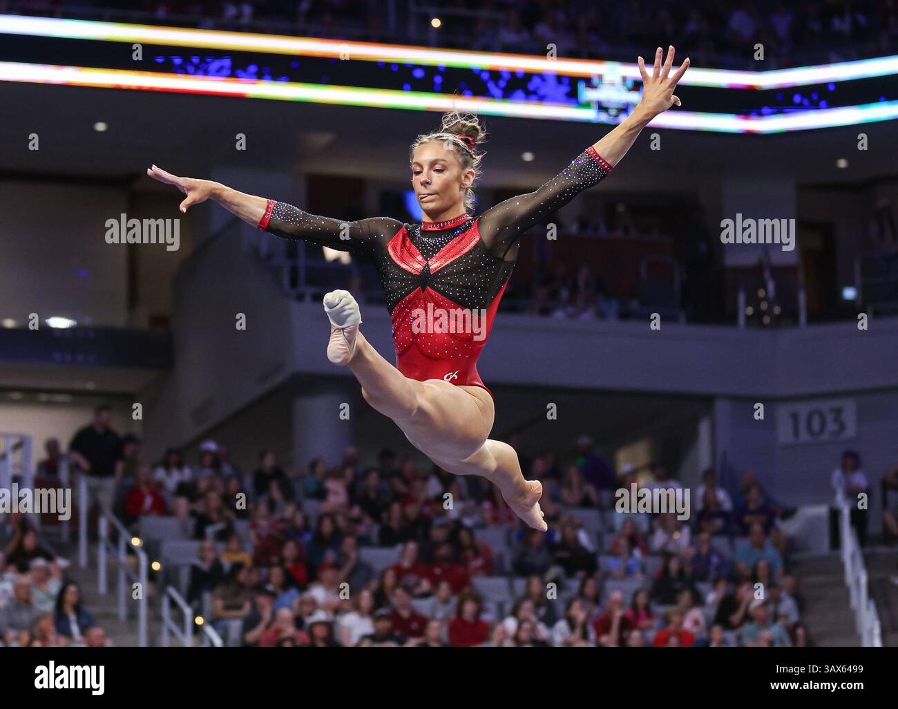 April 19, 2025: Utah's Grace McCallum on the balance beam during the ...
