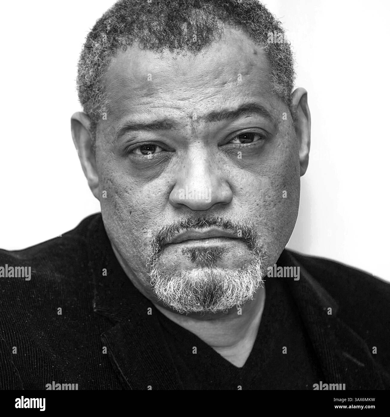 January 27, 2017 - Hollywood, California, U.S. - LAURENCE FISHBURNE ...
