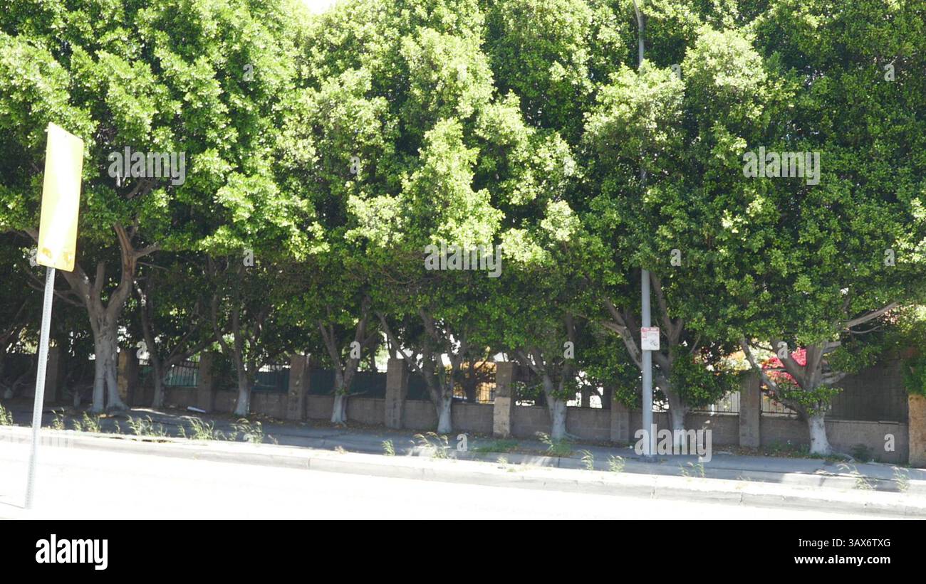 Los Angeles, California, USA 20th April 2025 Director Rodney Gilliam ...