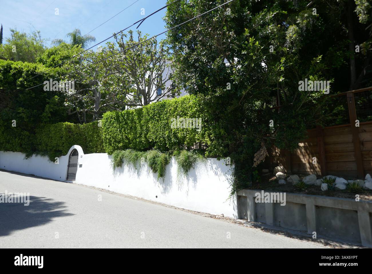 Los Angeles, California, USA 20th April 2025 Andy Warhol, Singer Tina ...