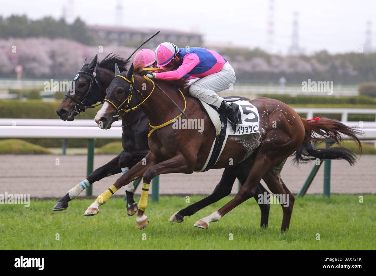 2025/04/13 HANSHIN 04R Meisho Bistro/Kohei Matsuyama Jockey Meisho Kintai/Joao Moreira Jockey ...