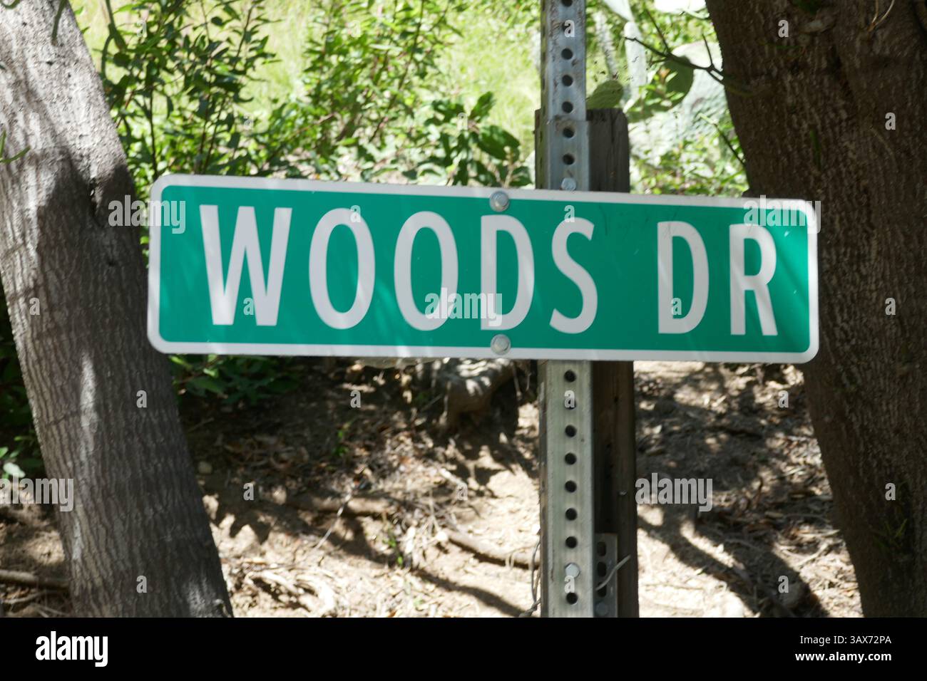 Los Angeles, California, USA 20th April 2025 Actor Buck Henry and ...