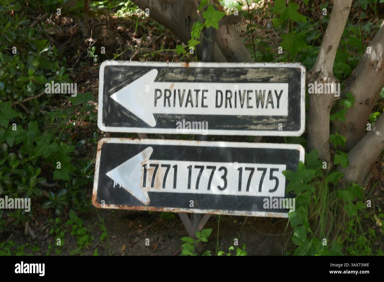 Los Angeles, California, USA 20th April 2025 Actor Buck Henry and ...