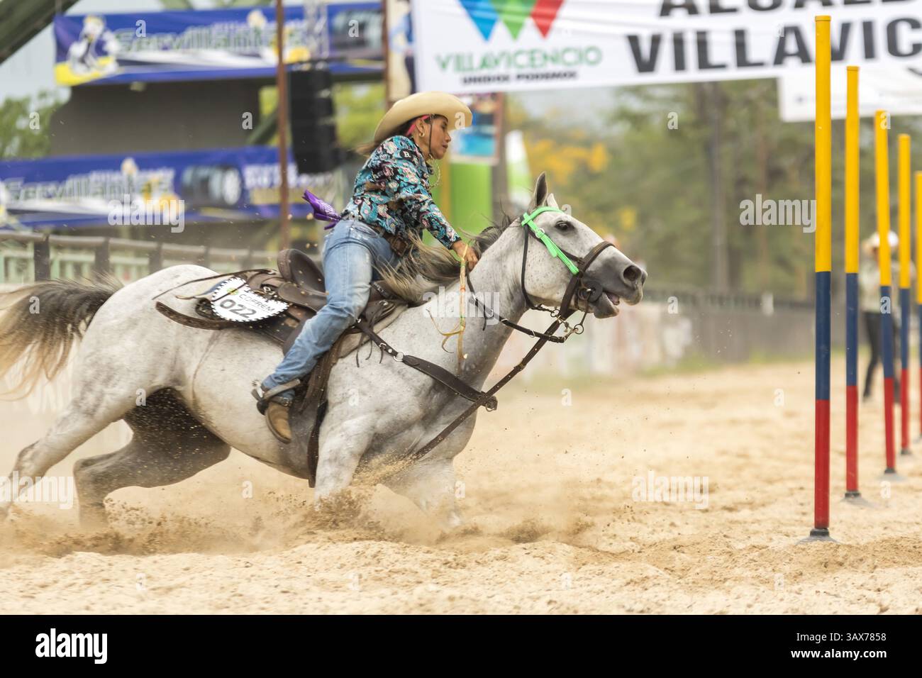 March 21, 2016 - Villavicencio, Meta, Colombia - Pole bending race ...