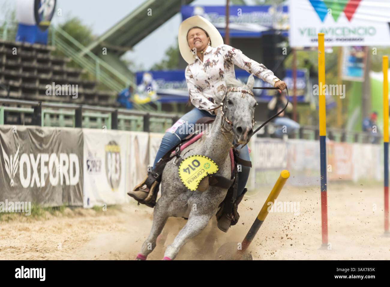 March 21, 2016 - Villavicencio, Meta, Colombia - Pole bending race ...