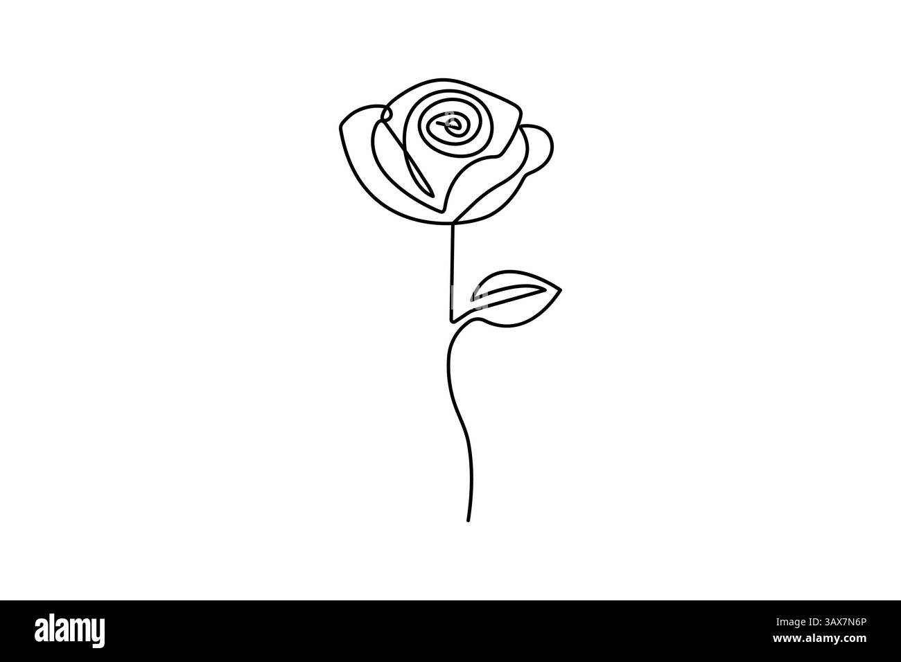 Modern flower line art Black and White Stock Photos & Images - Alamy
