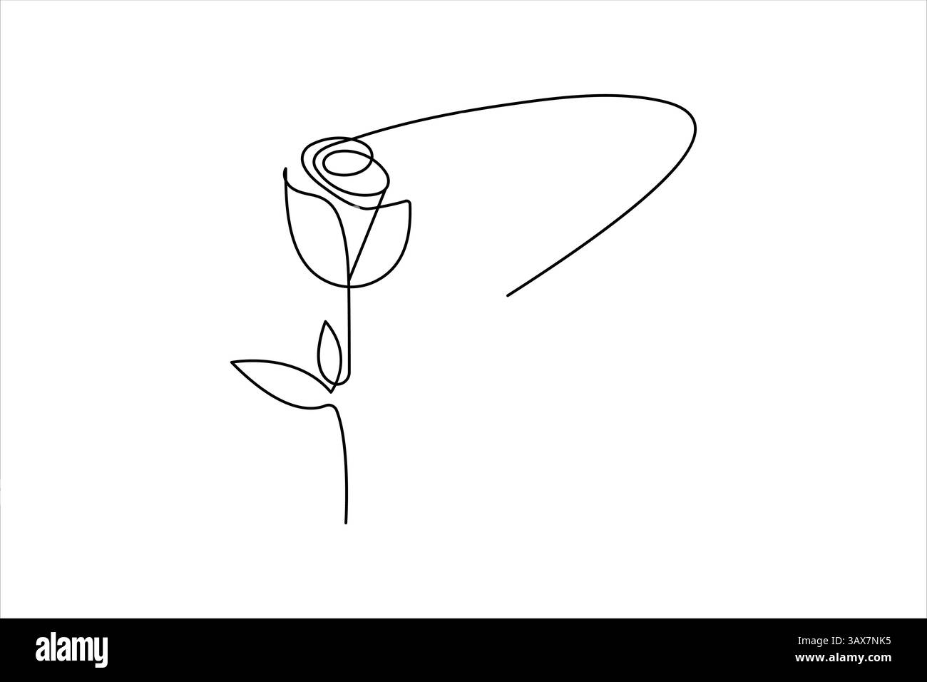 Minimalist rose flower continuous one line art vector illustration Stock Vector Image & Art - Alamy