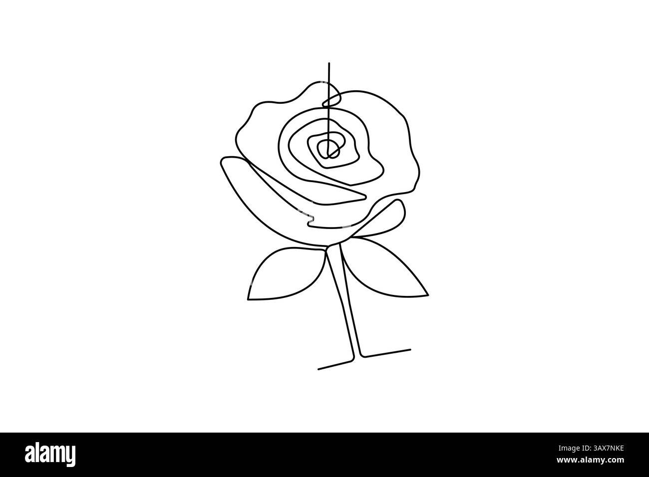 Minimalist rose flower continuous one line art vector illustration ...