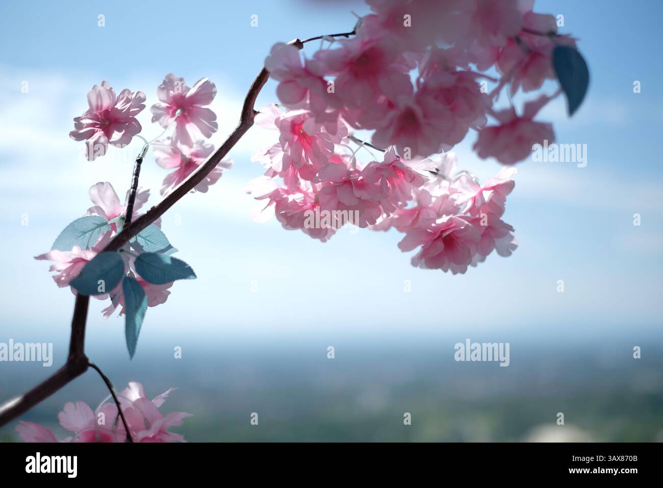 Everning chant hi-res stock photography and images - Alamy