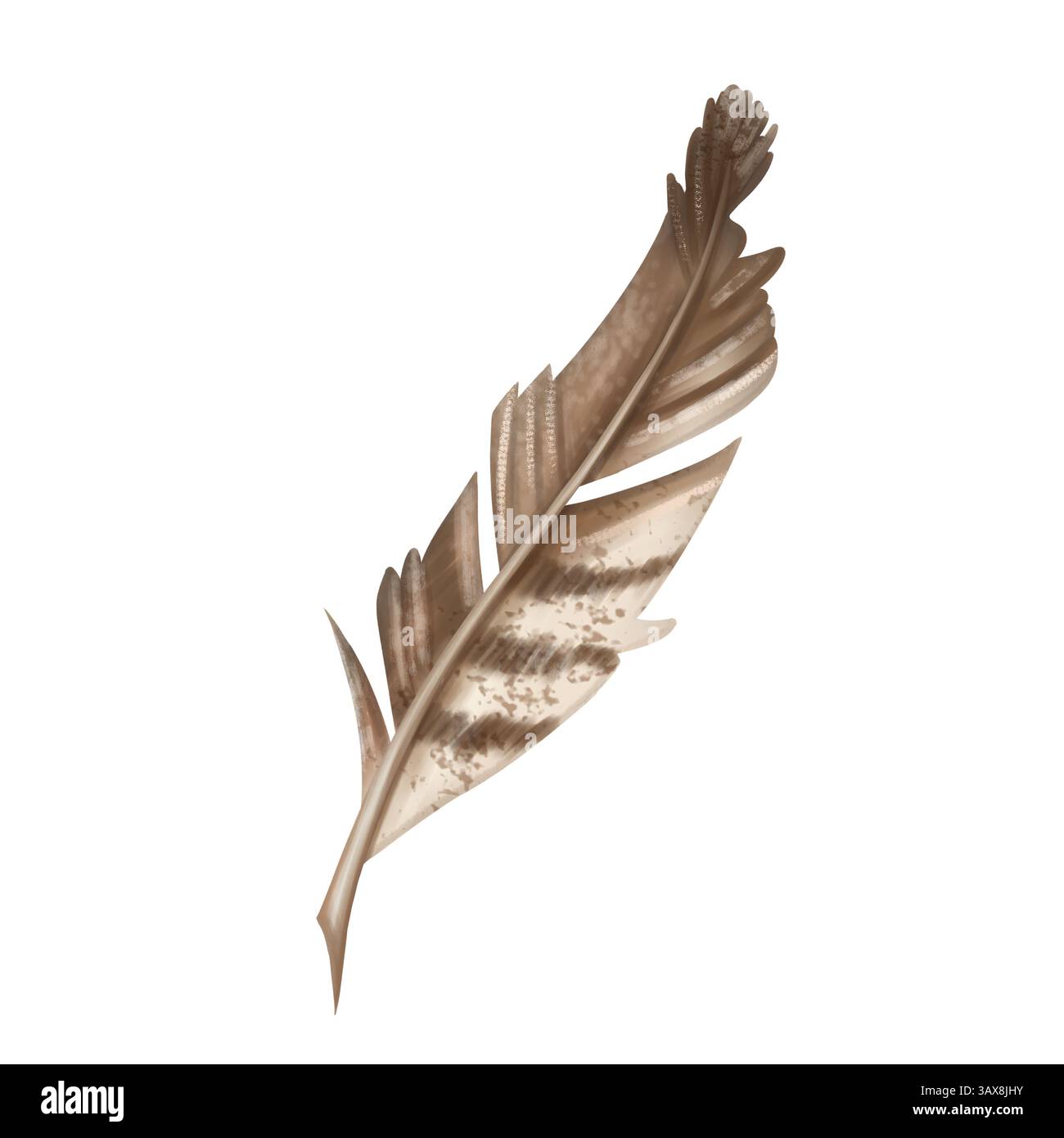 Brown fluffy bird feather for ink and writing. A decoration for classic ...