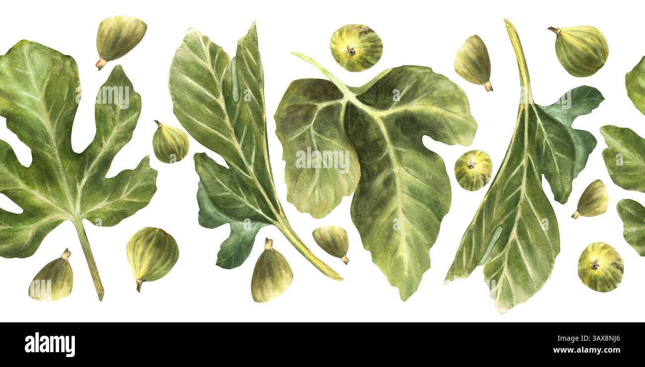 Green fig and leaves of different shapes seamless border. Realistic ...