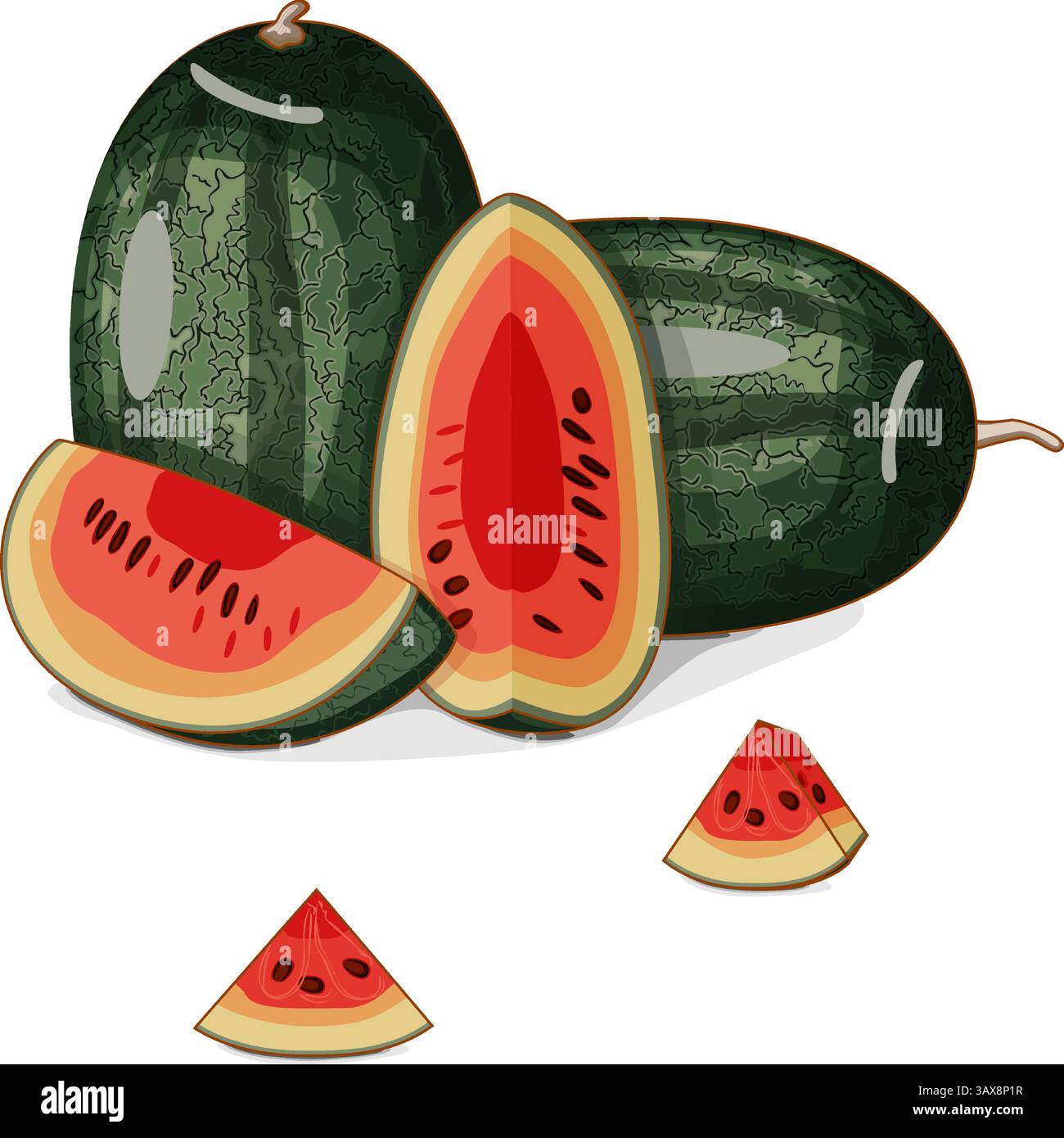 Whole and chopped Black Beauty Watermelon. Citrullus lanatus ...