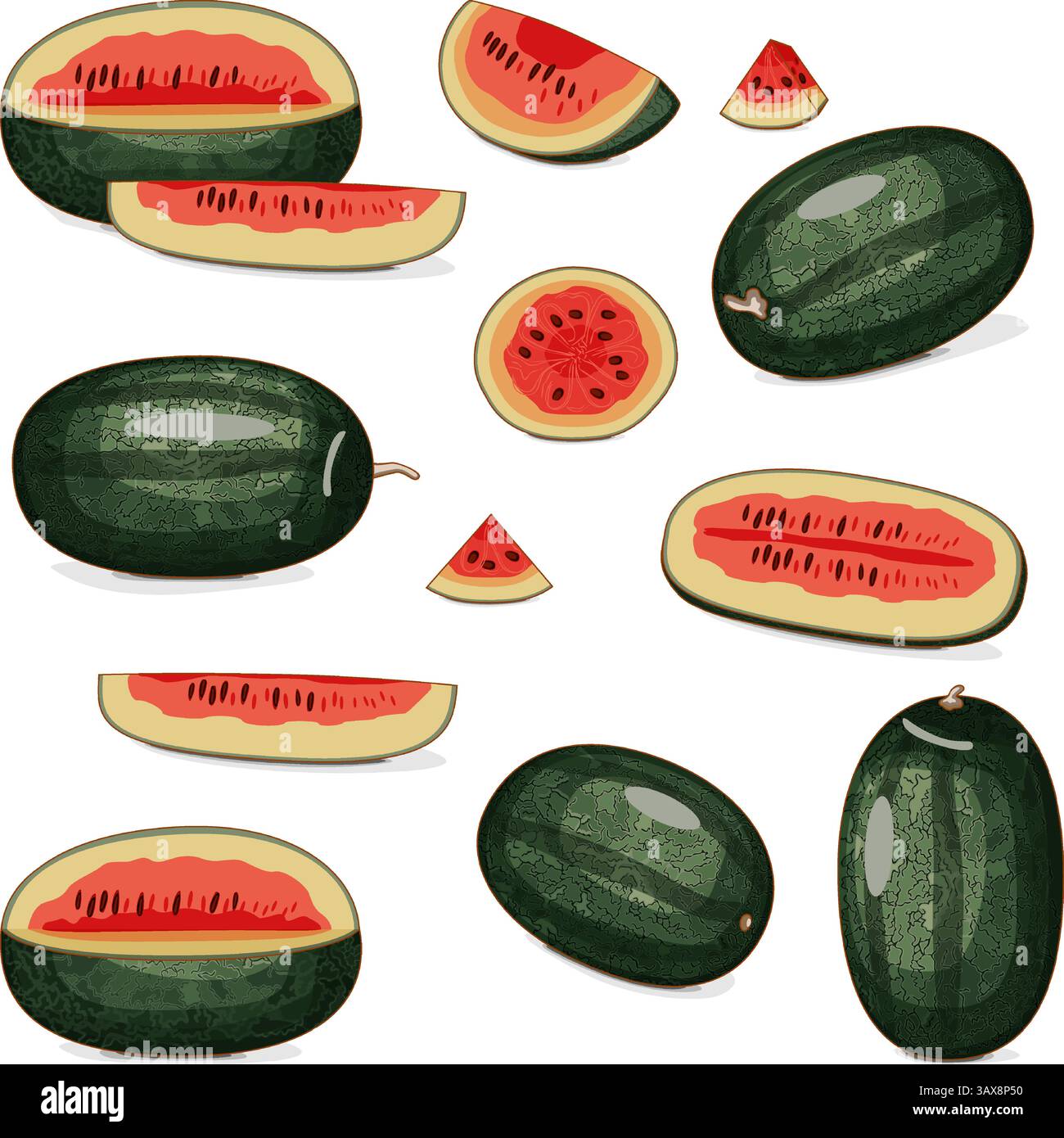 Set of Black Beauty Watermelon. Citrullus lanatus. Fruits and ...
