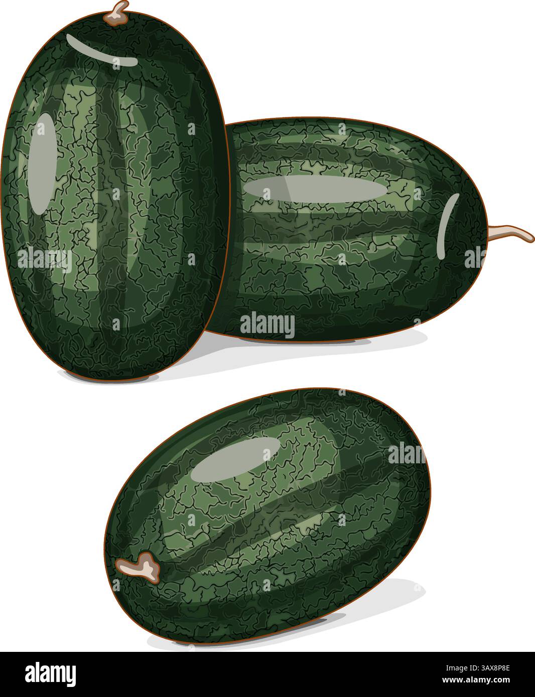 Group of Black Beauty Watermelon. Citrullus lanatus. Fruits and ...