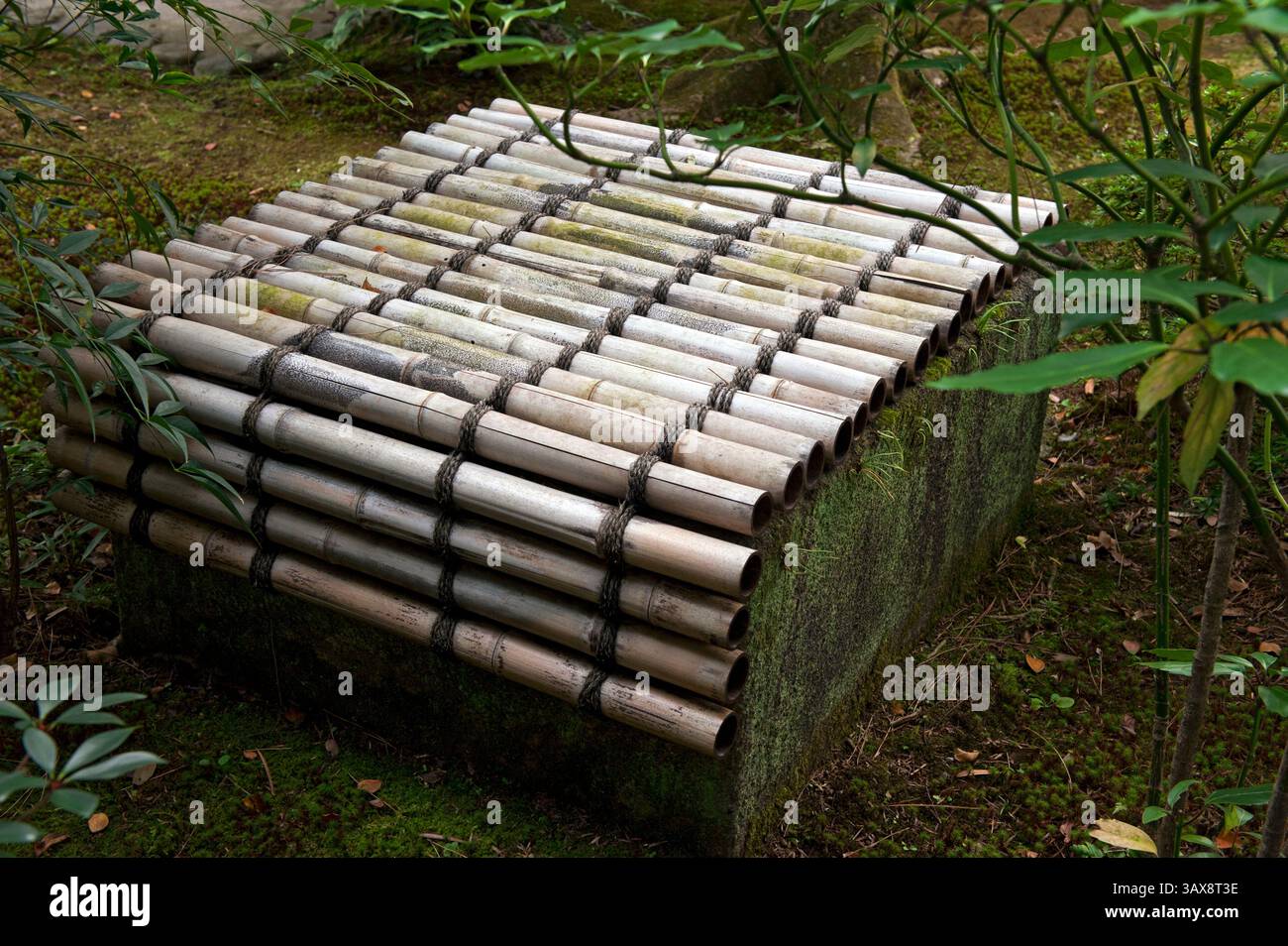 Bamboo stalks lashed together with twine are a traditional method of ...