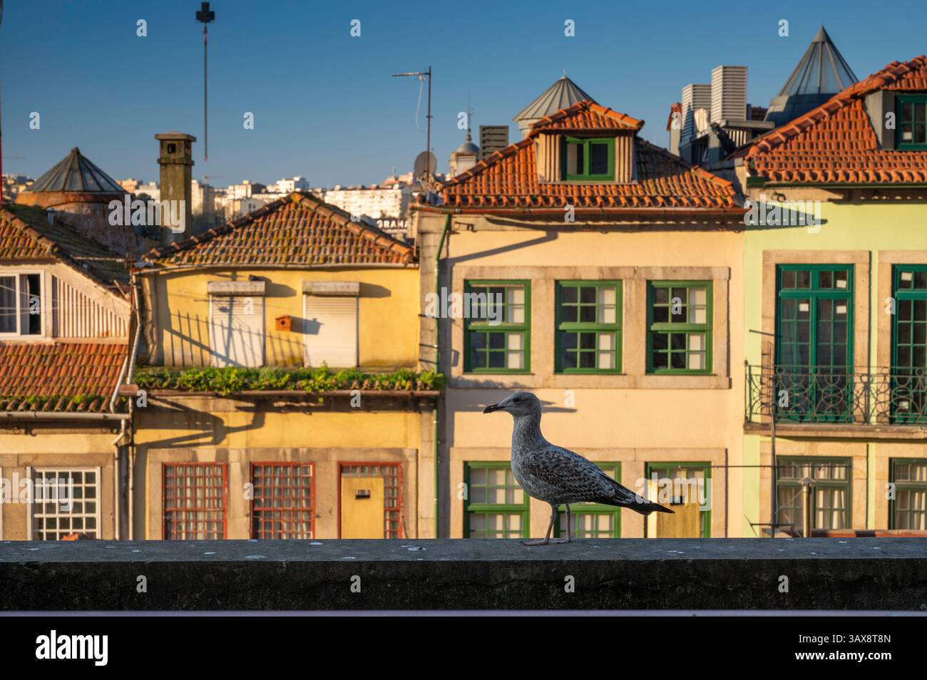 Photo of the historic center of the city of Porto in Portugal Stock ...