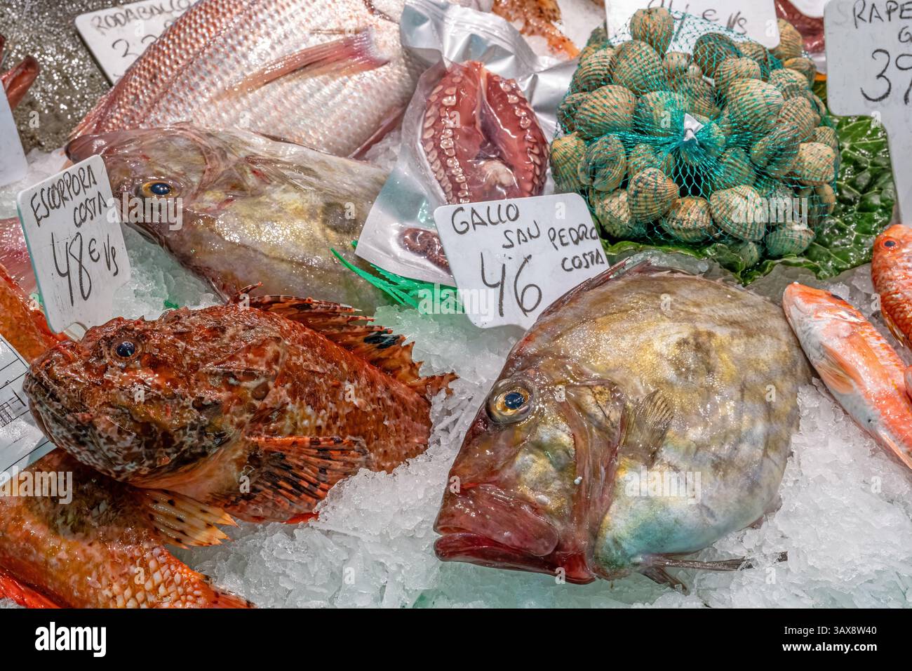 Colorful fish for sale at a market in Barcelona, Spain Stock Photo - Alamy