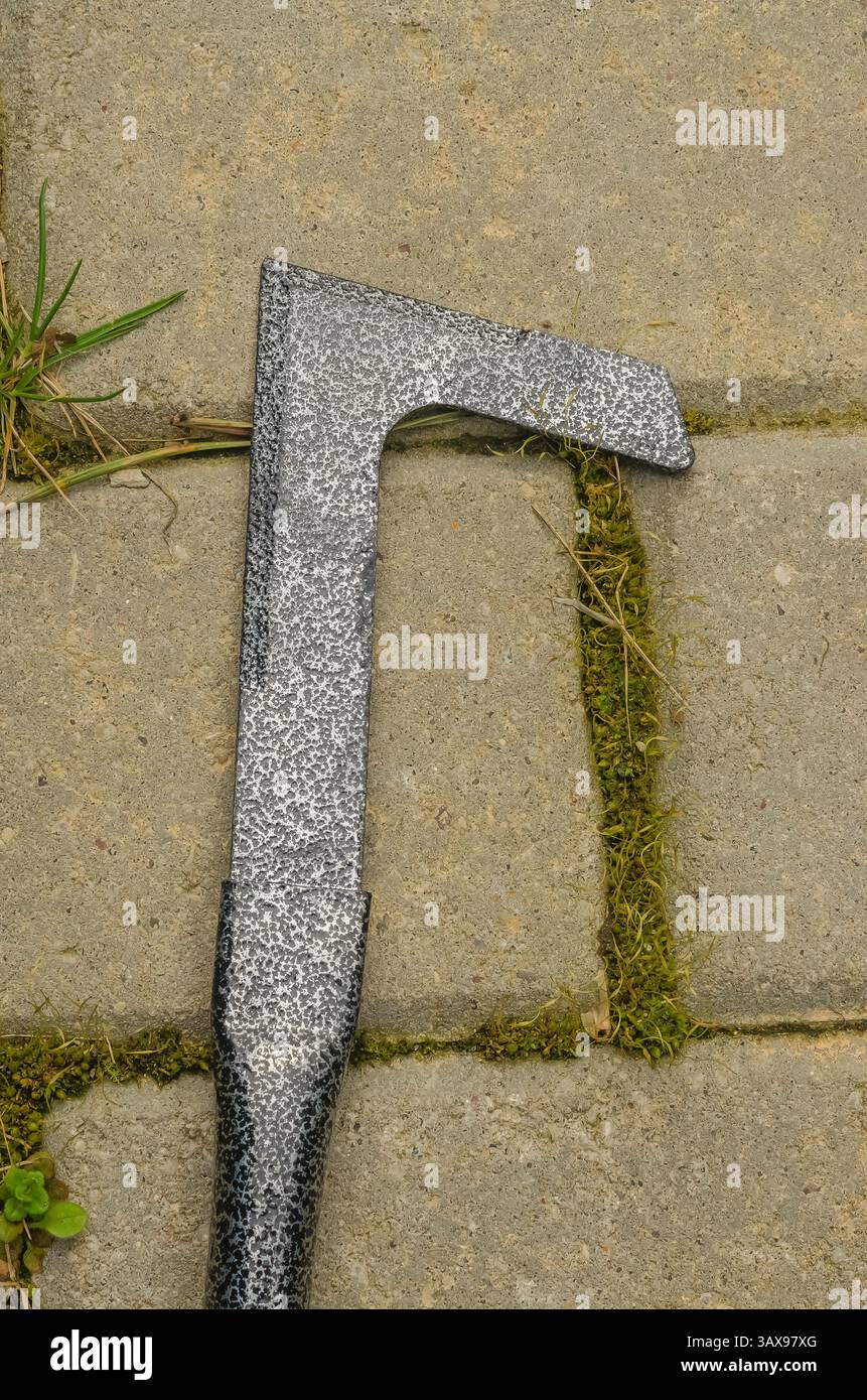 Metal hook weeding tool on pavement with moss between paving stones ...