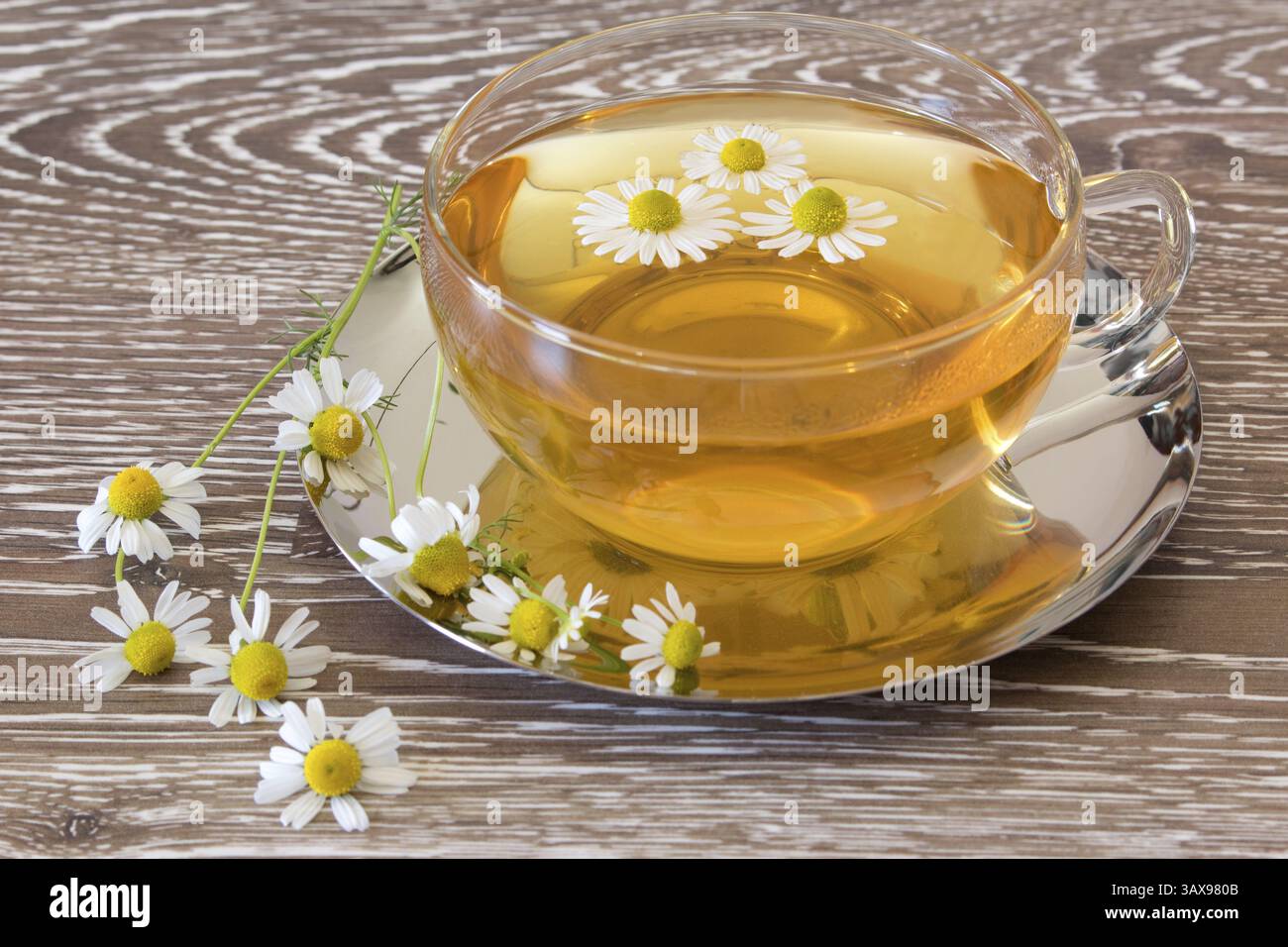 Cup of chamomile tea with fresh flowers Stock Photo - Alamy