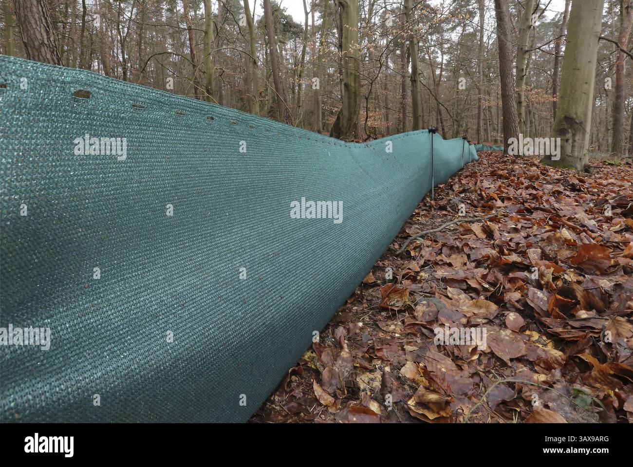 Toad fences hi-res stock photography and images - Alamy