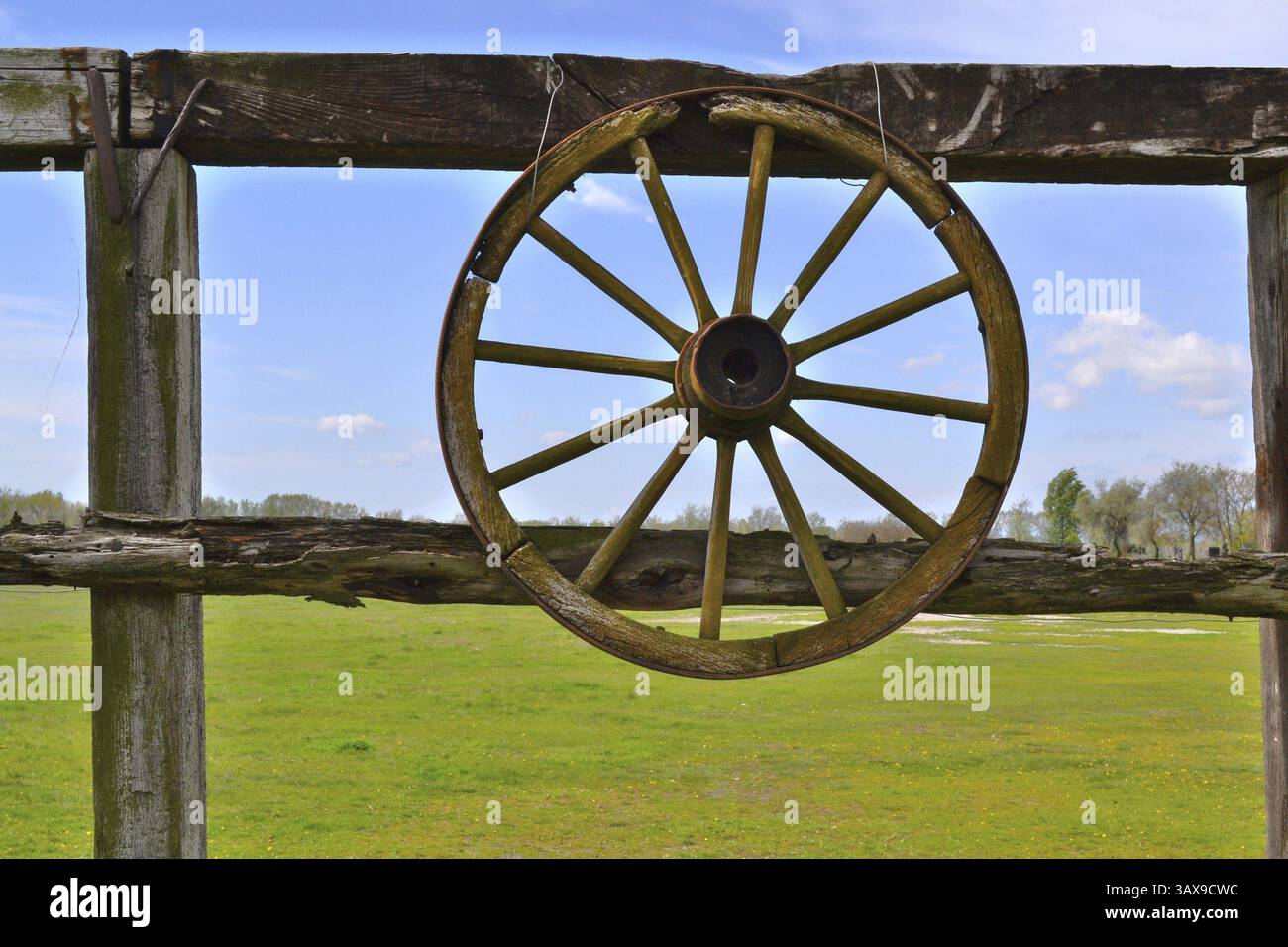 Wagon decorations hi-res stock photography and images - Alamy