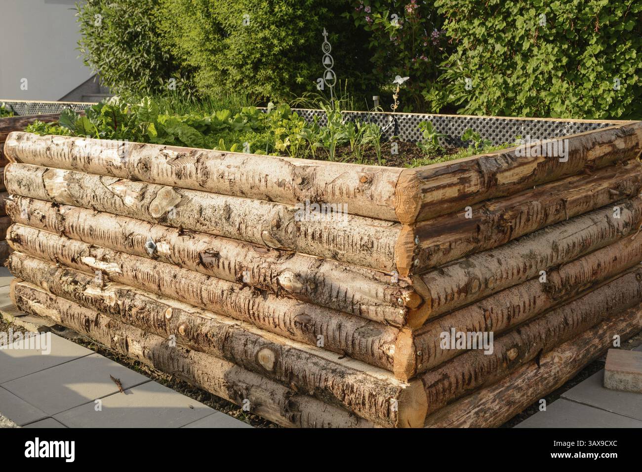 Planted raised bed made from rustic tree trunks Stock Photo - Alamy