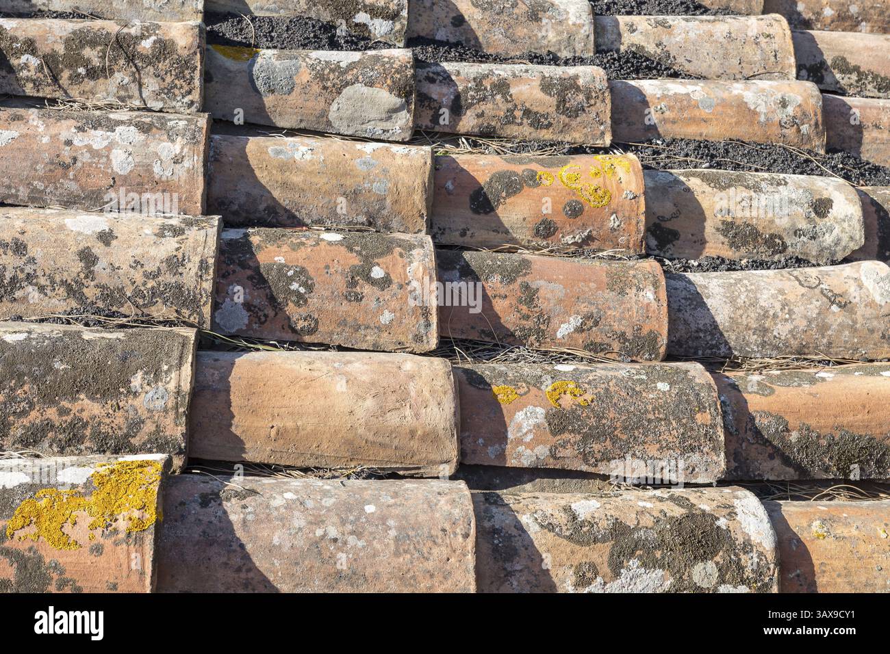 Detail of an ancient Italian roof. Ideal for background Stock Photo - Alamy