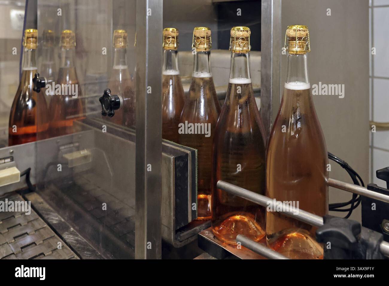 Sparkling wine bottling Stock Photo - Alamy