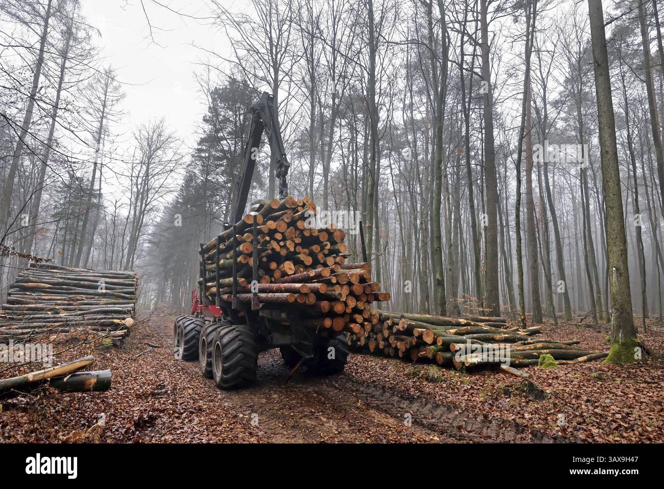 Forwarder with timber hi-res stock photography and images - Alamy