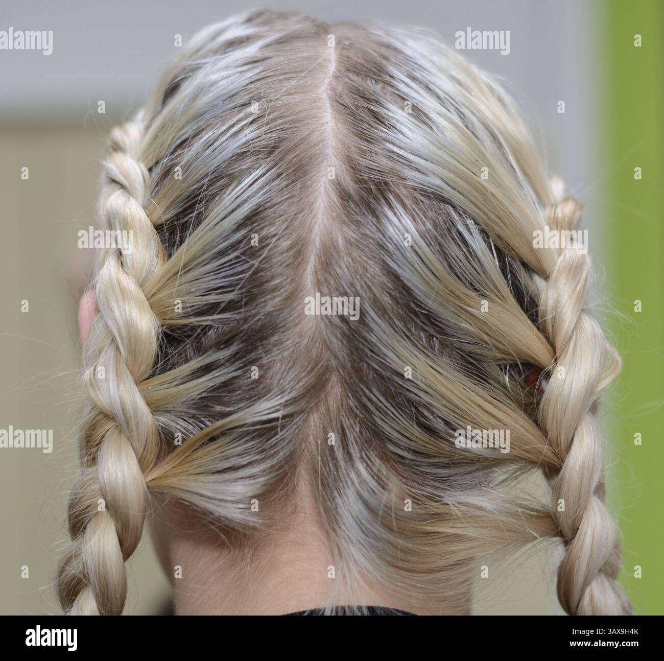 Blonde has long hair braided into two plaits Stock Photo - Alamy