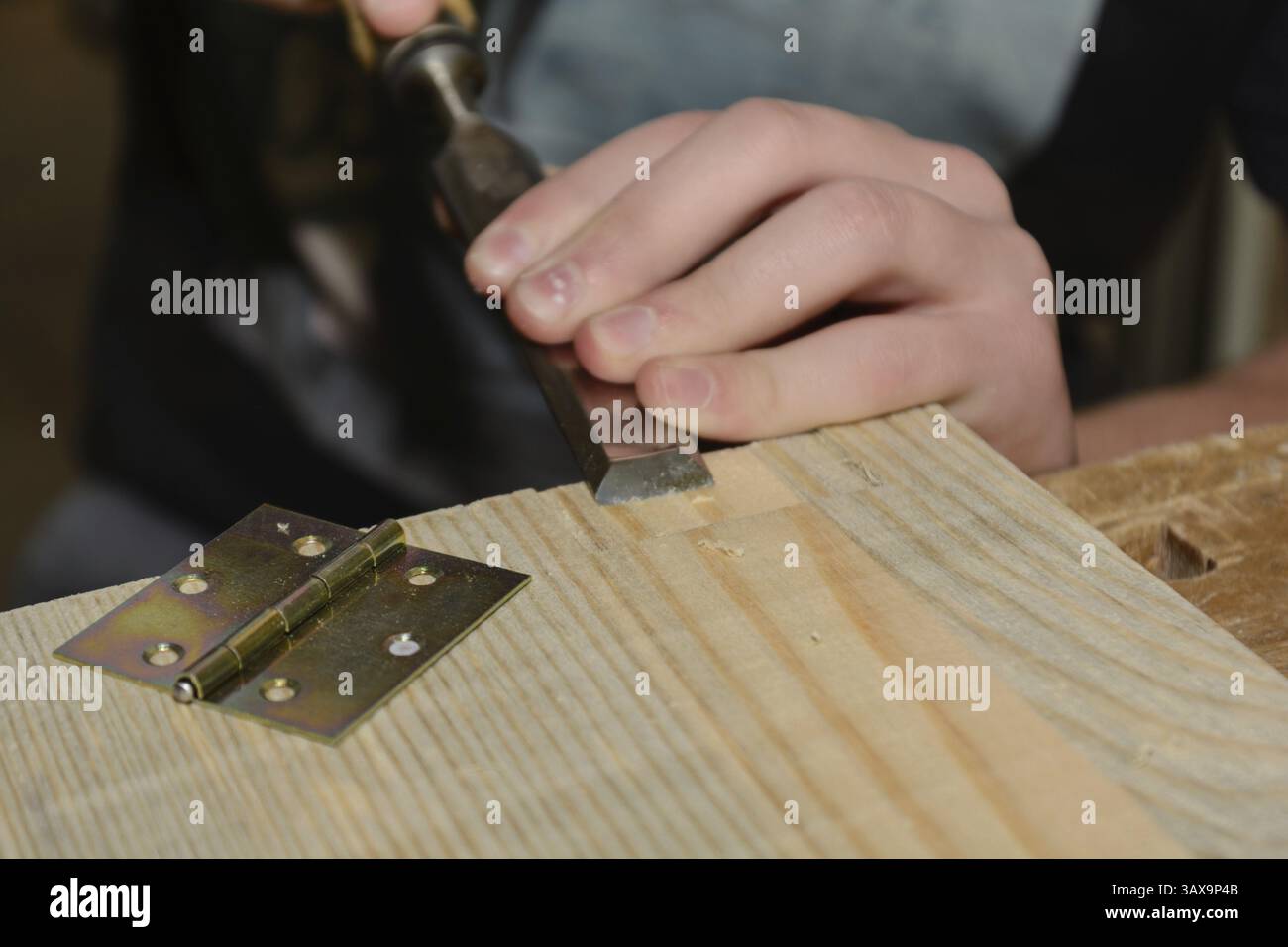 Carpenter working on wood with a chisel for a hinge - close-up Stock ...