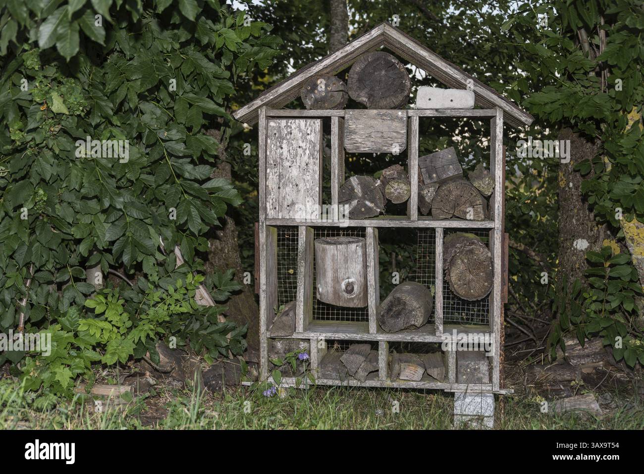 Nature conservation with a large insect hotel - upcycling for nature ...