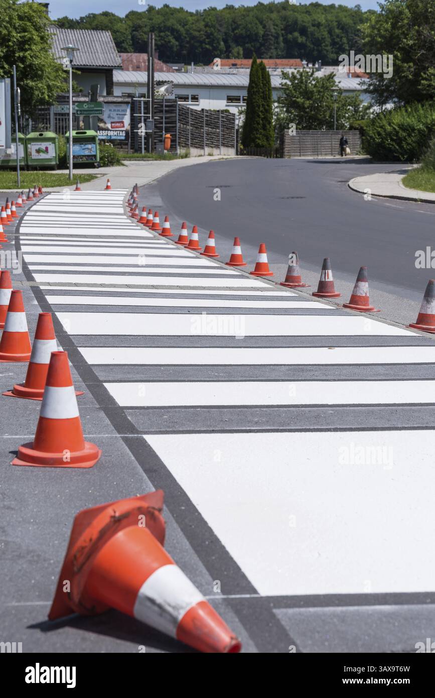 Fresh road marking Pedestrian crossing protected with traffic cone ...