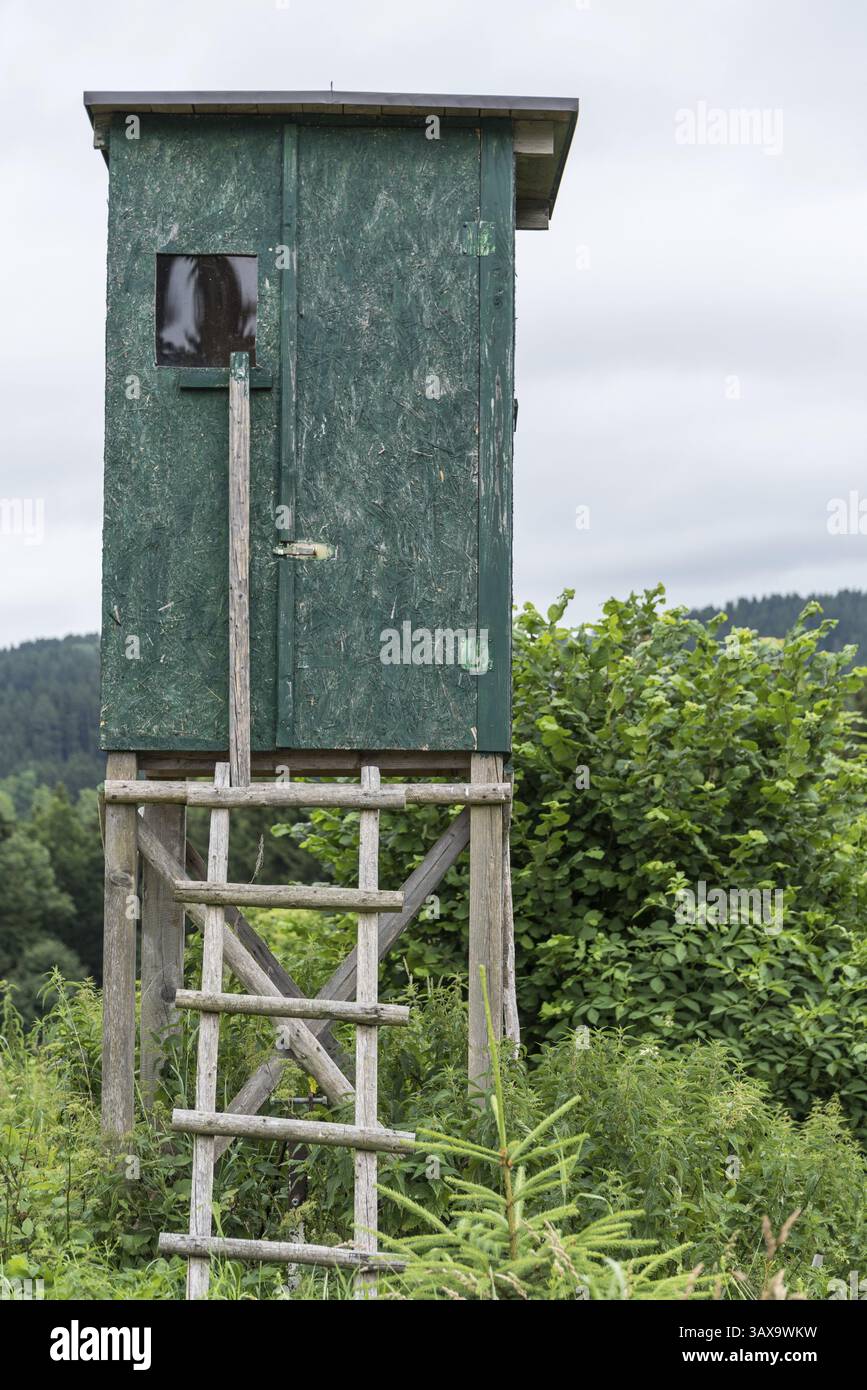 Green raised hide for hunters as a hiding place in the hunting ground ...