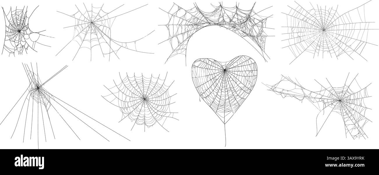 Spooky halloween old cobweb with various sizes and shapes. Old spider ...