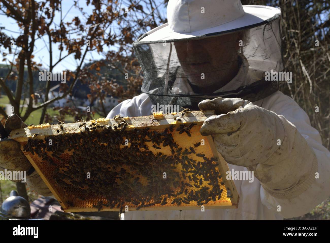 Full checks hi-res stock photography and images - Alamy