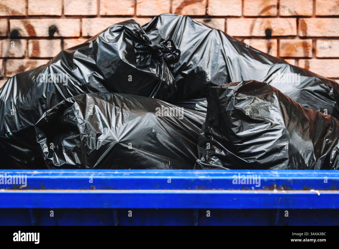Black garbage bags in trash container dumpster, selective focus Stock ...