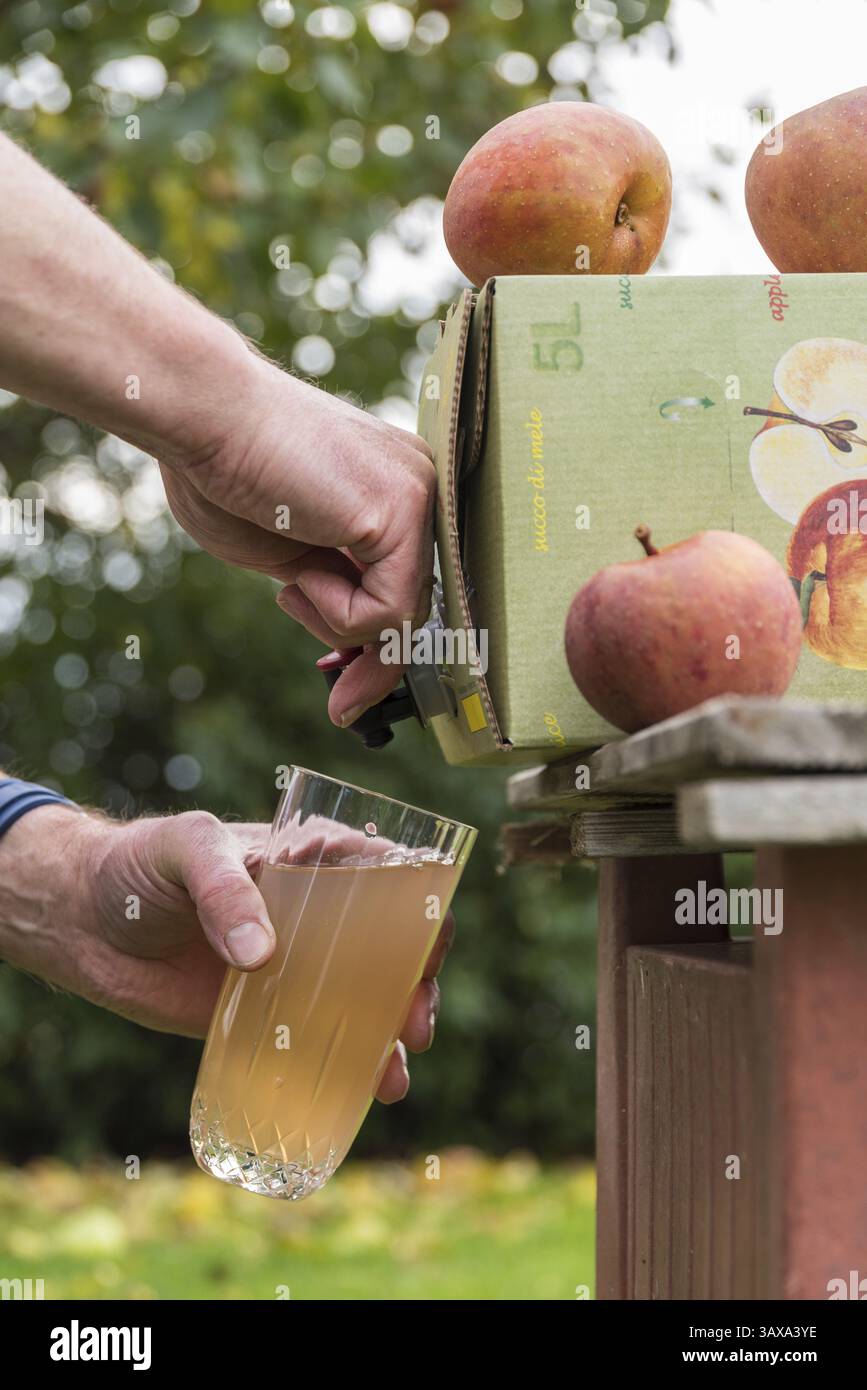 Pouring freshly squeezed naturally cloudy apple juice into a glass ...
