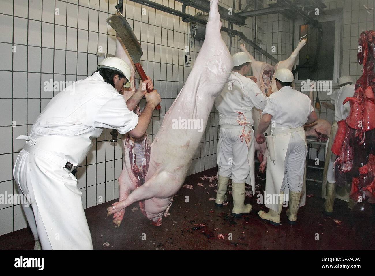 In the slaughterhouse Stock Photo - Alamy