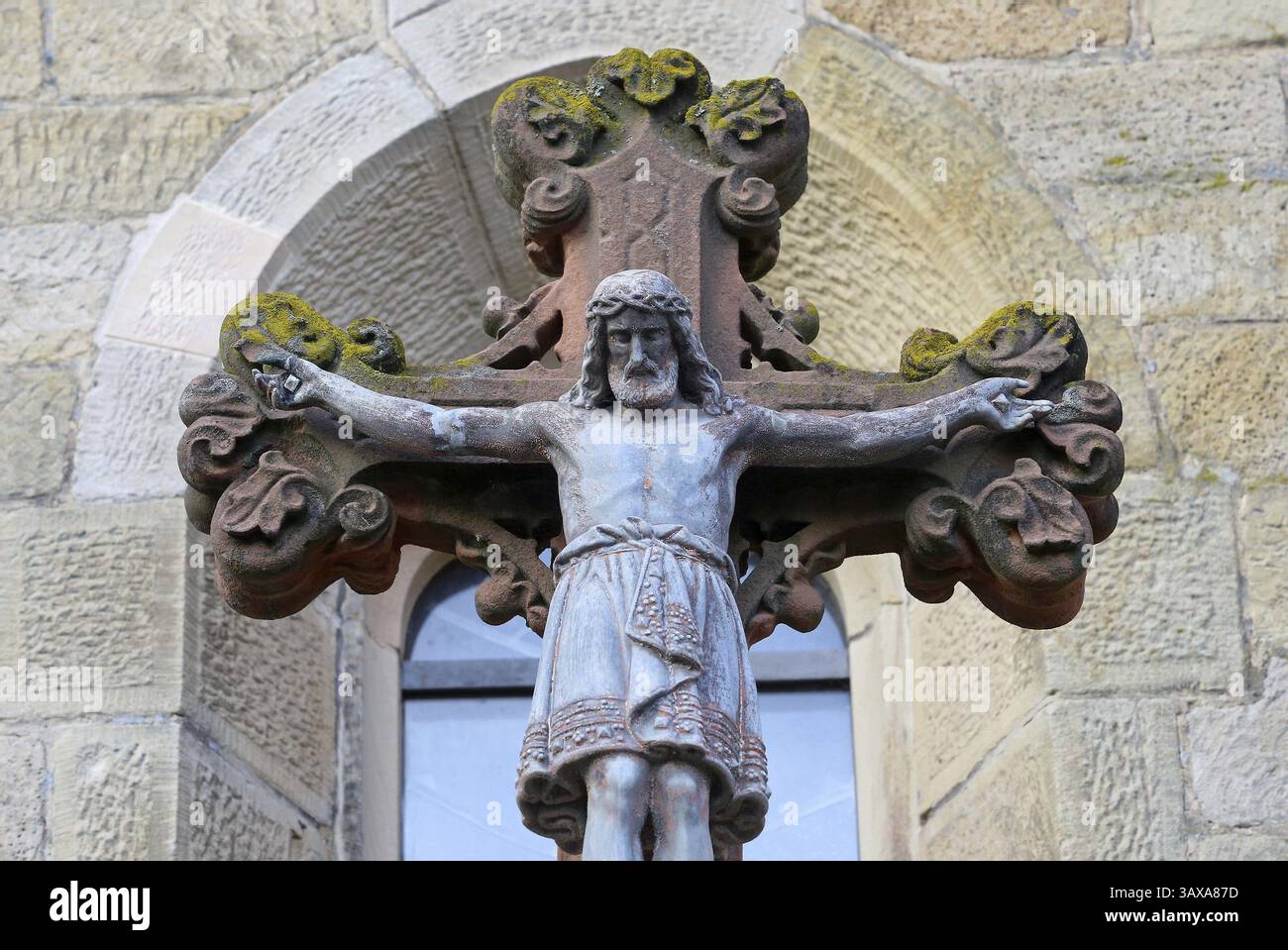 Cross section detailed view hi-res stock photography and images - Alamy