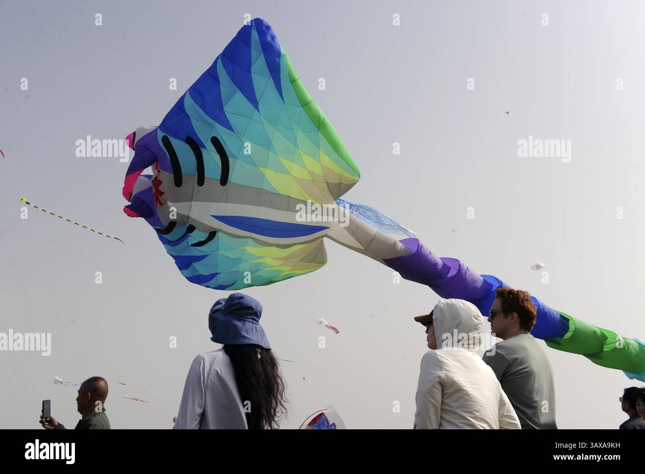 Kites fly in the wind at a large square in Weifang City, east China's ...