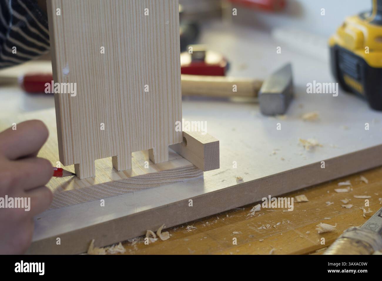 Joiner produces a finger joint as a timber connection Stock Photo - Alamy