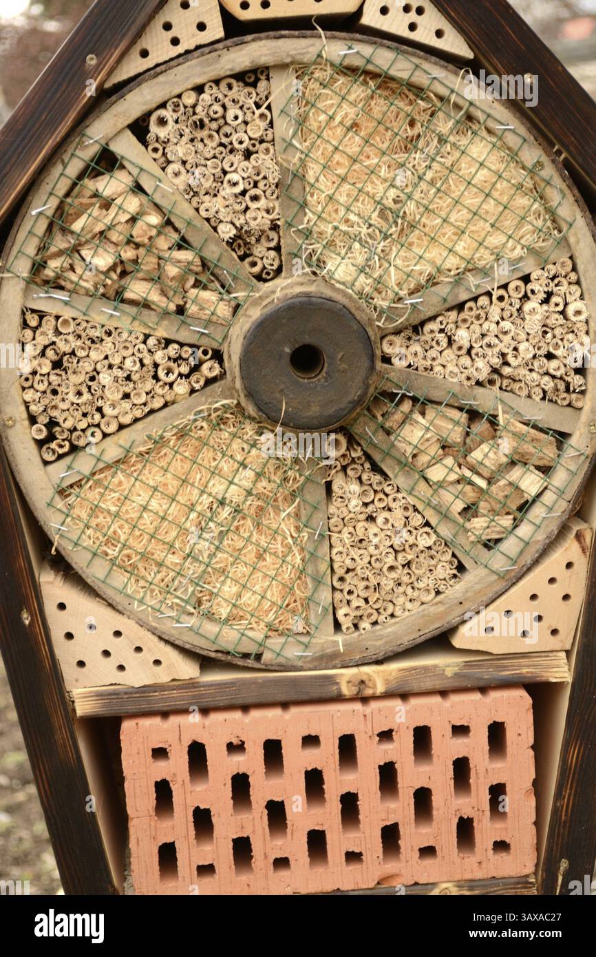 Original insect house Stock Photo - Alamy