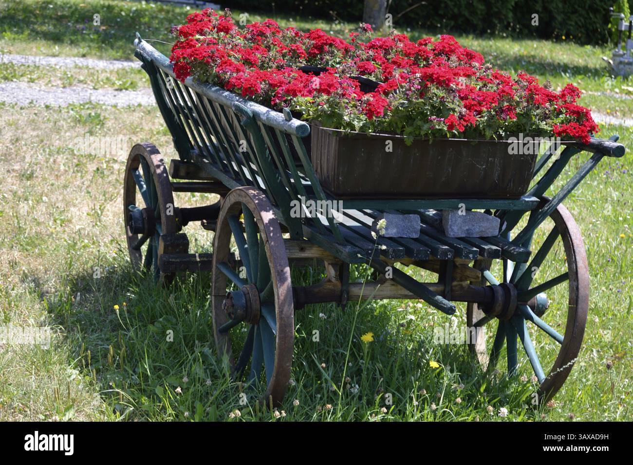 Old wooden ladder trolley decorated with flowers Stock Photo - Alamy