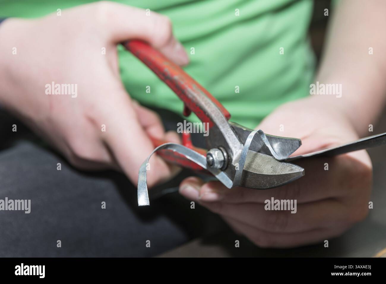 Craftsman cutting thin metal with iron shears - close-up metalworking ...